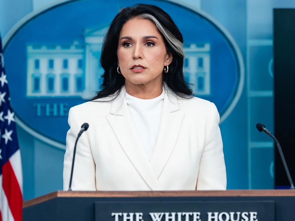 Fact Check: Did CIA Raid US Intel Chief Tulsi Gabbard’s Office? Here’s ...