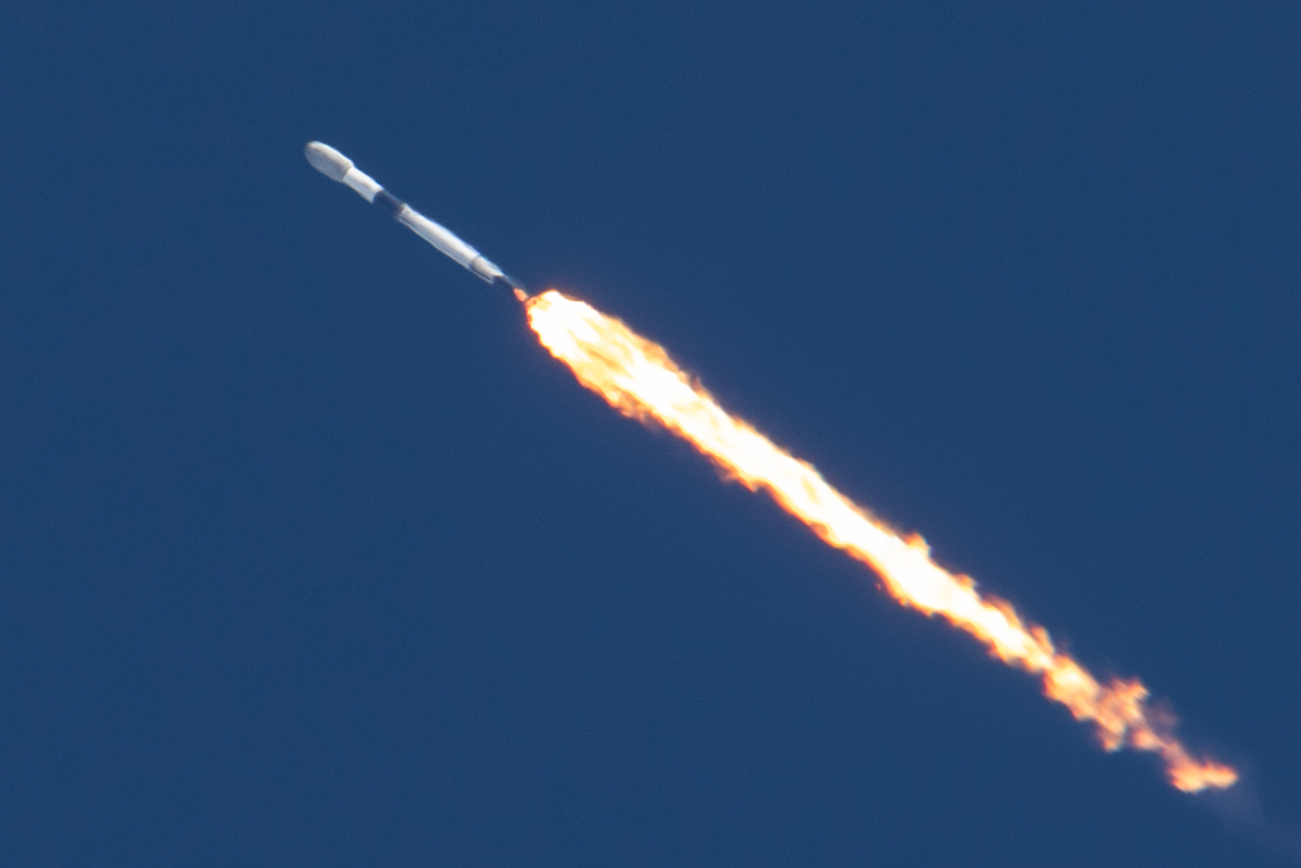 Falcon 9 Latest Launch: Elon Musk's SpaceX Successfully Launches 24 ...